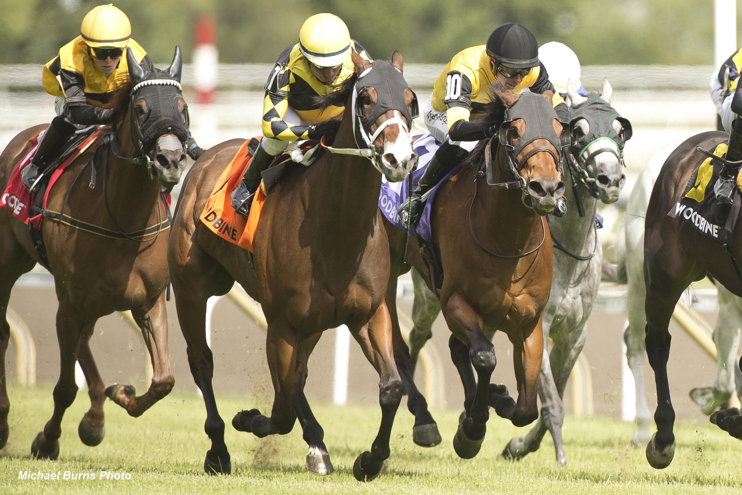 Ms. Tart Storms in Royal North - Past The Wire