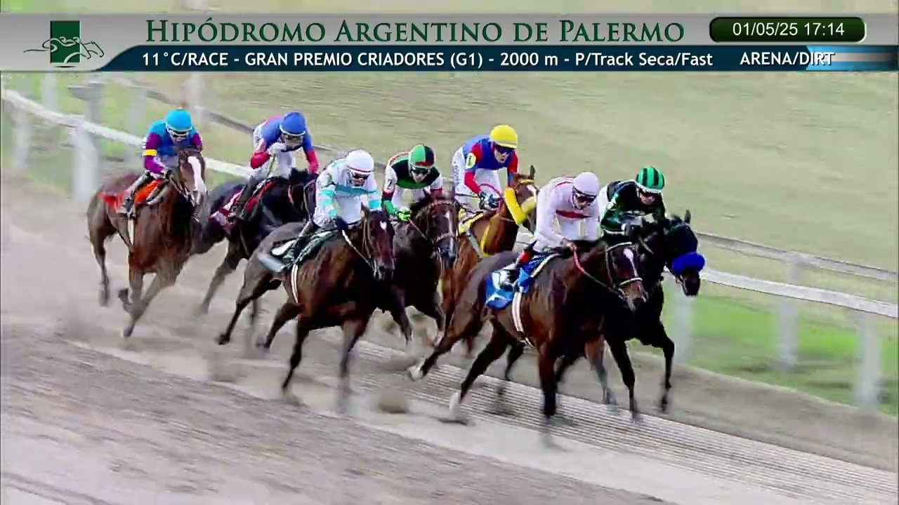 Sarawak Rim Edges Fav in Gran Premio Criadores - Past The Wire