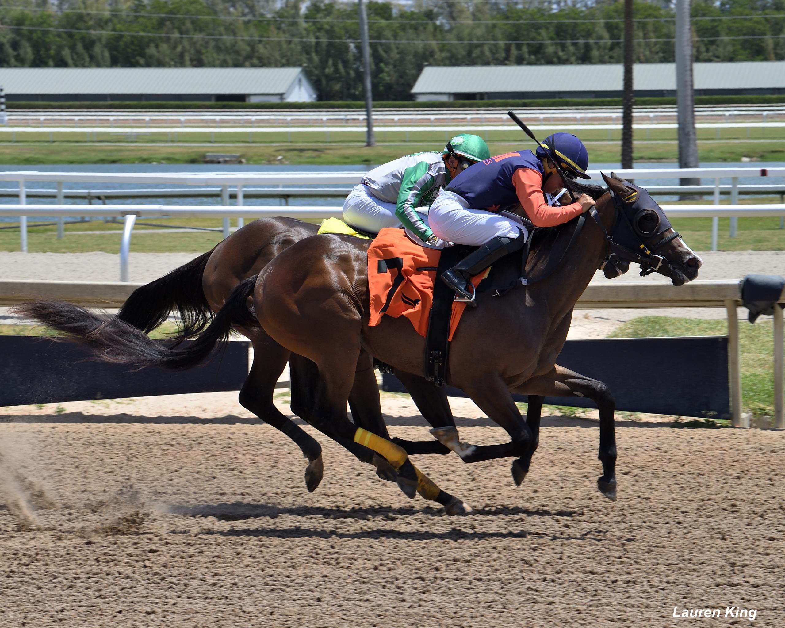 Willow Case Steady Drive to Win - Past The Wire