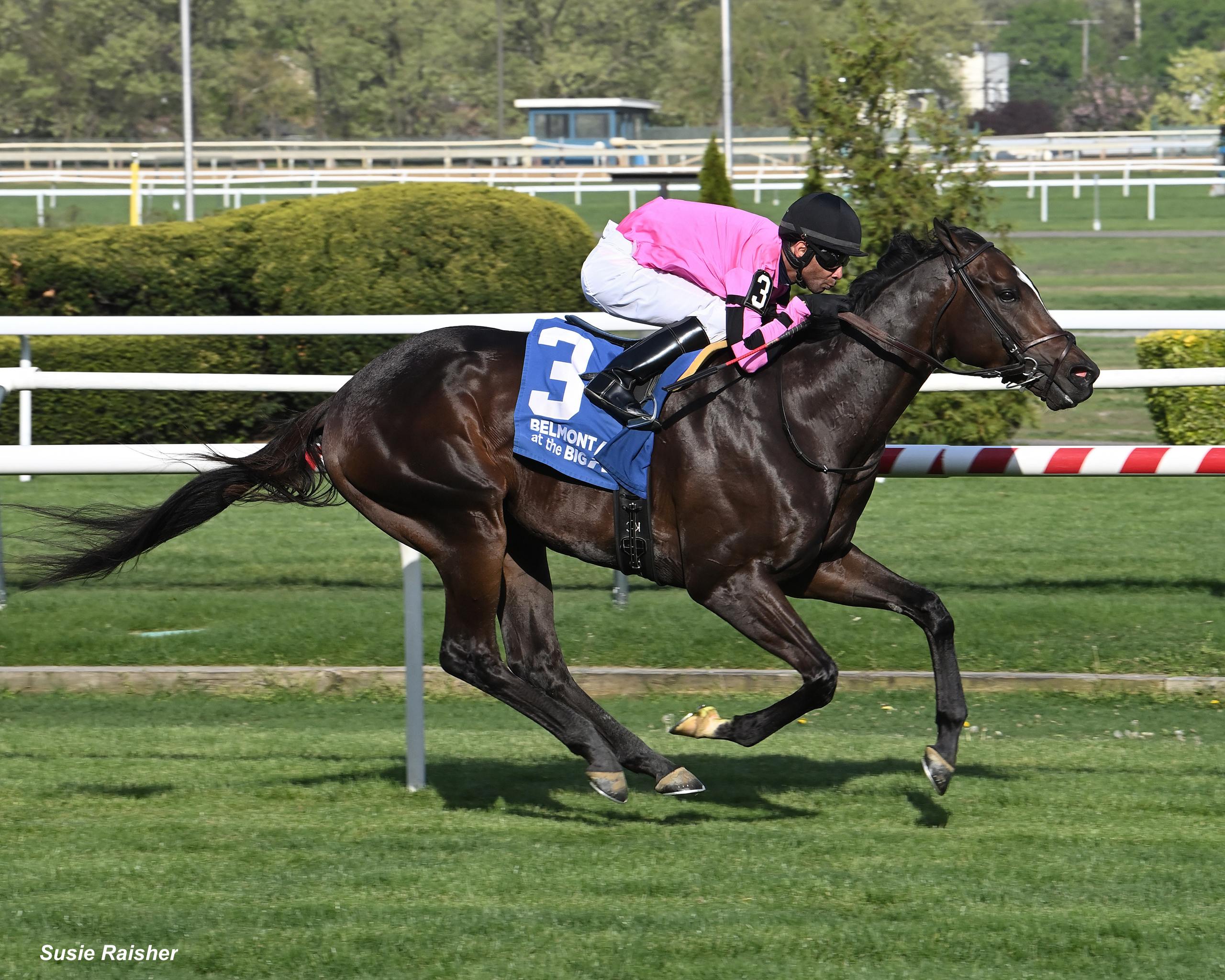 Deterministic Sets Track Record in G2 Fort Marcy - Past The Wire