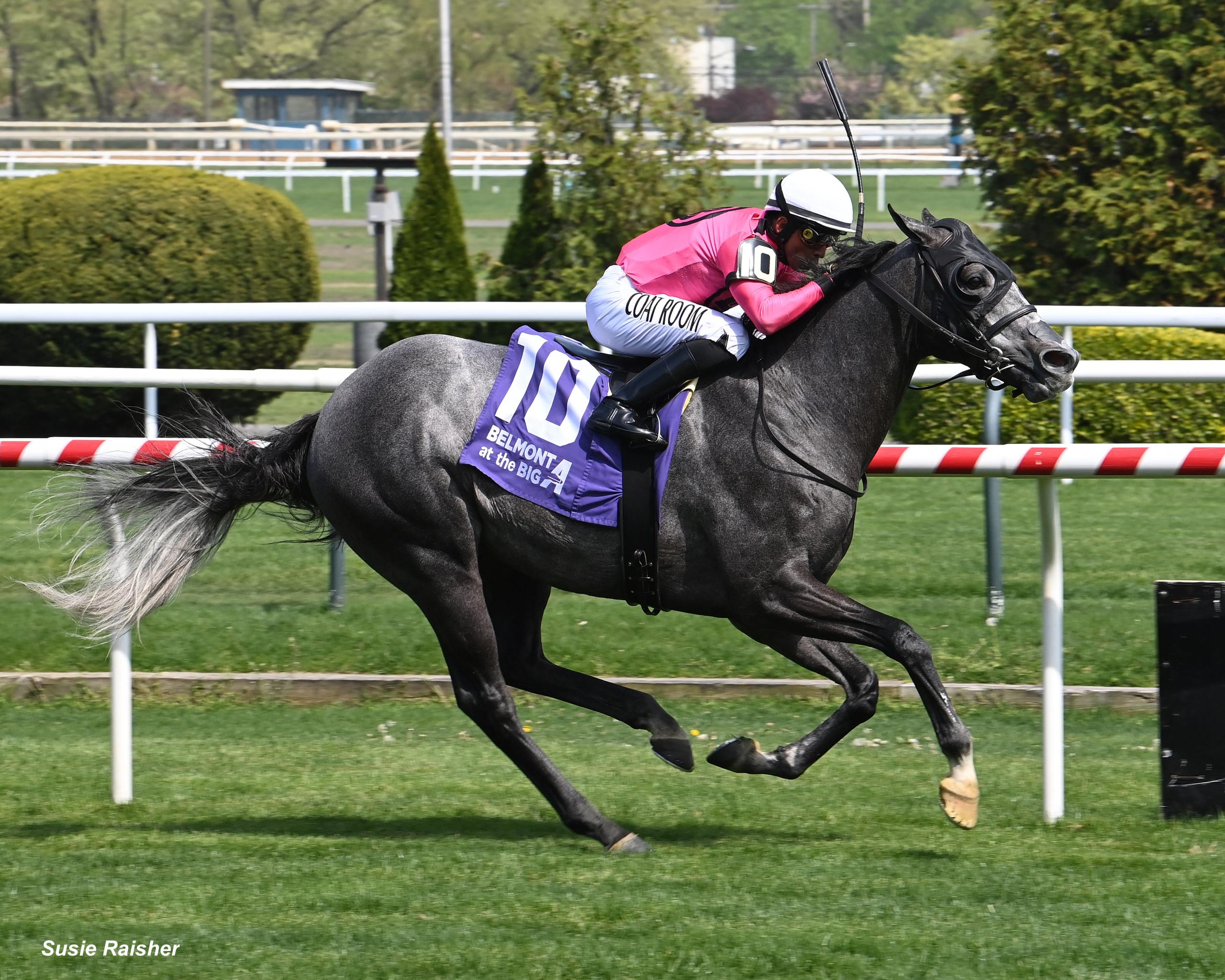 My Boy Prince Seasonal Debut Win in Elusive Quality - Past The Wire