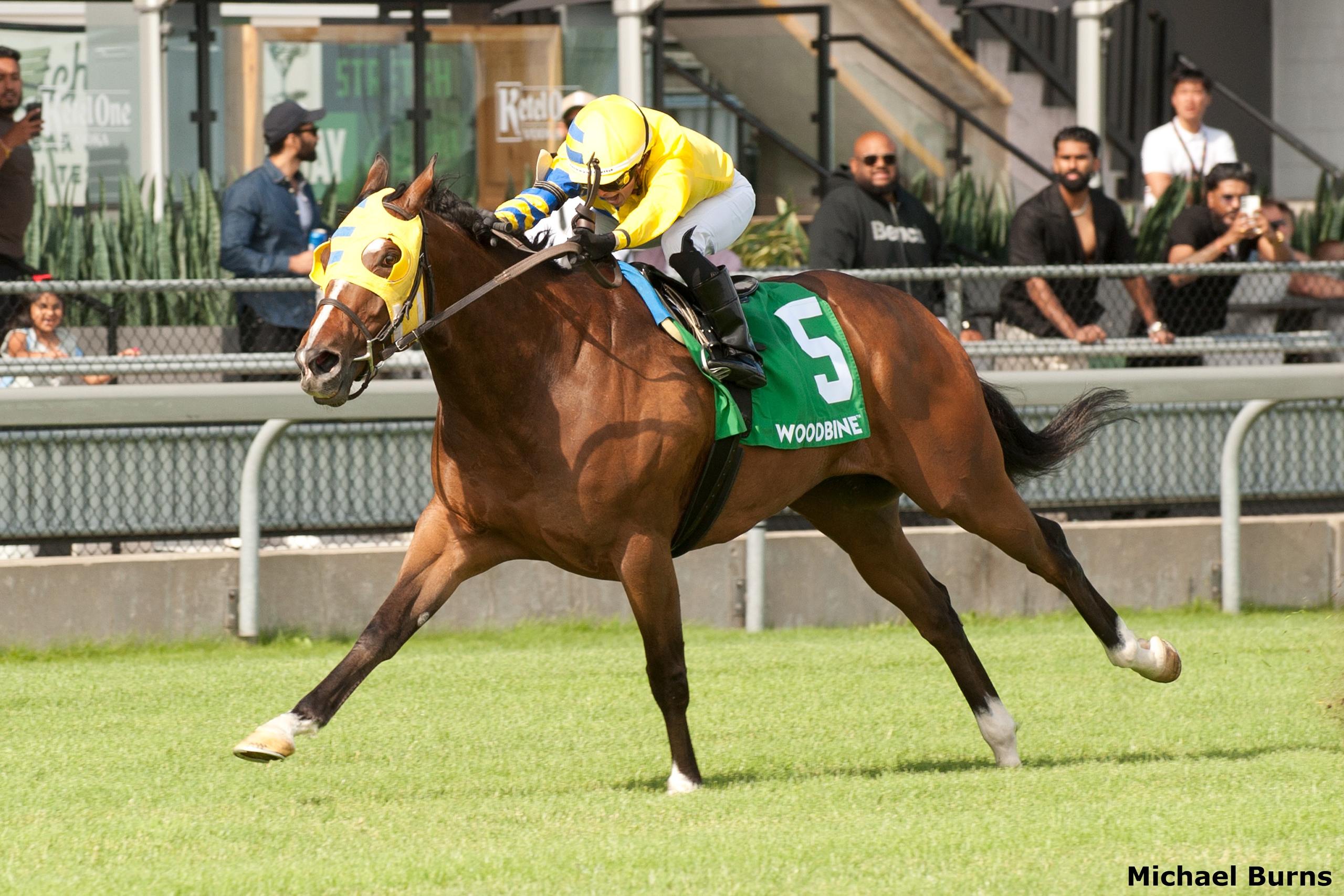 Patches O’Houlihan Takes Wide Route to G2 Highlander Triumph - Past The ...
