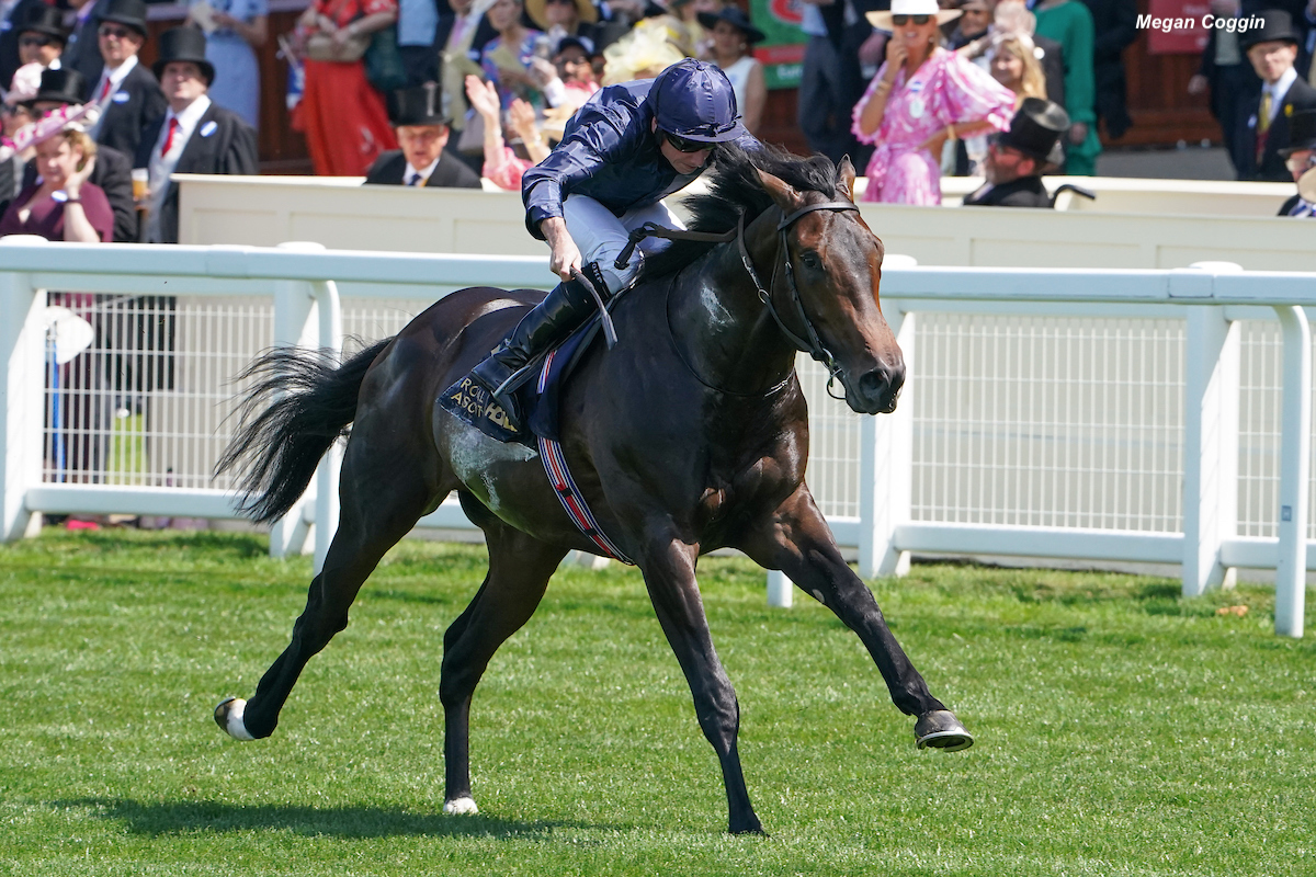 Charles Darwin All Class in Norfolk - Past The Wire