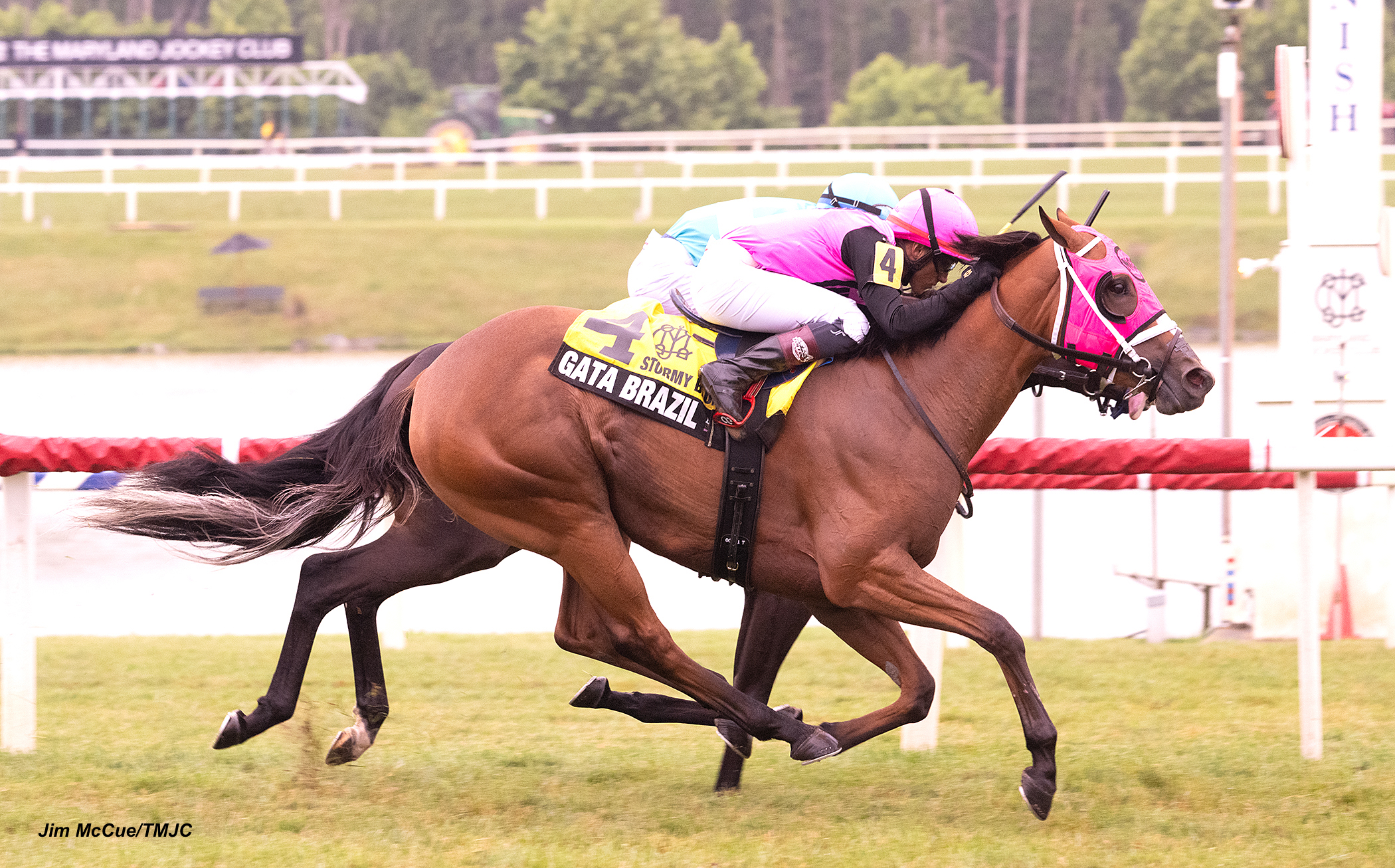 Gata Brazil Noses Win in Stormy Blues - Past The Wire
