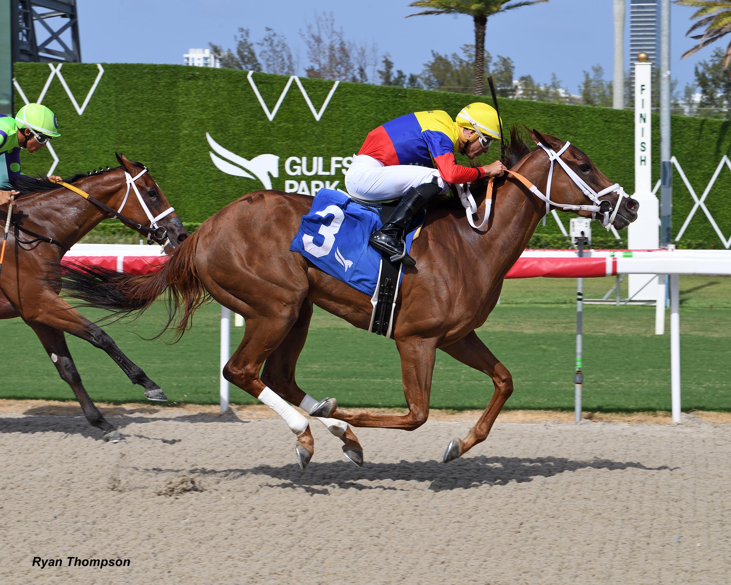 Great Venezuela Ultra-consistent in Portofino Bay - Past The Wire