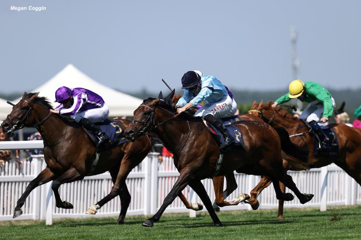 Merchant Strong Finish in King George V - Past The Wire