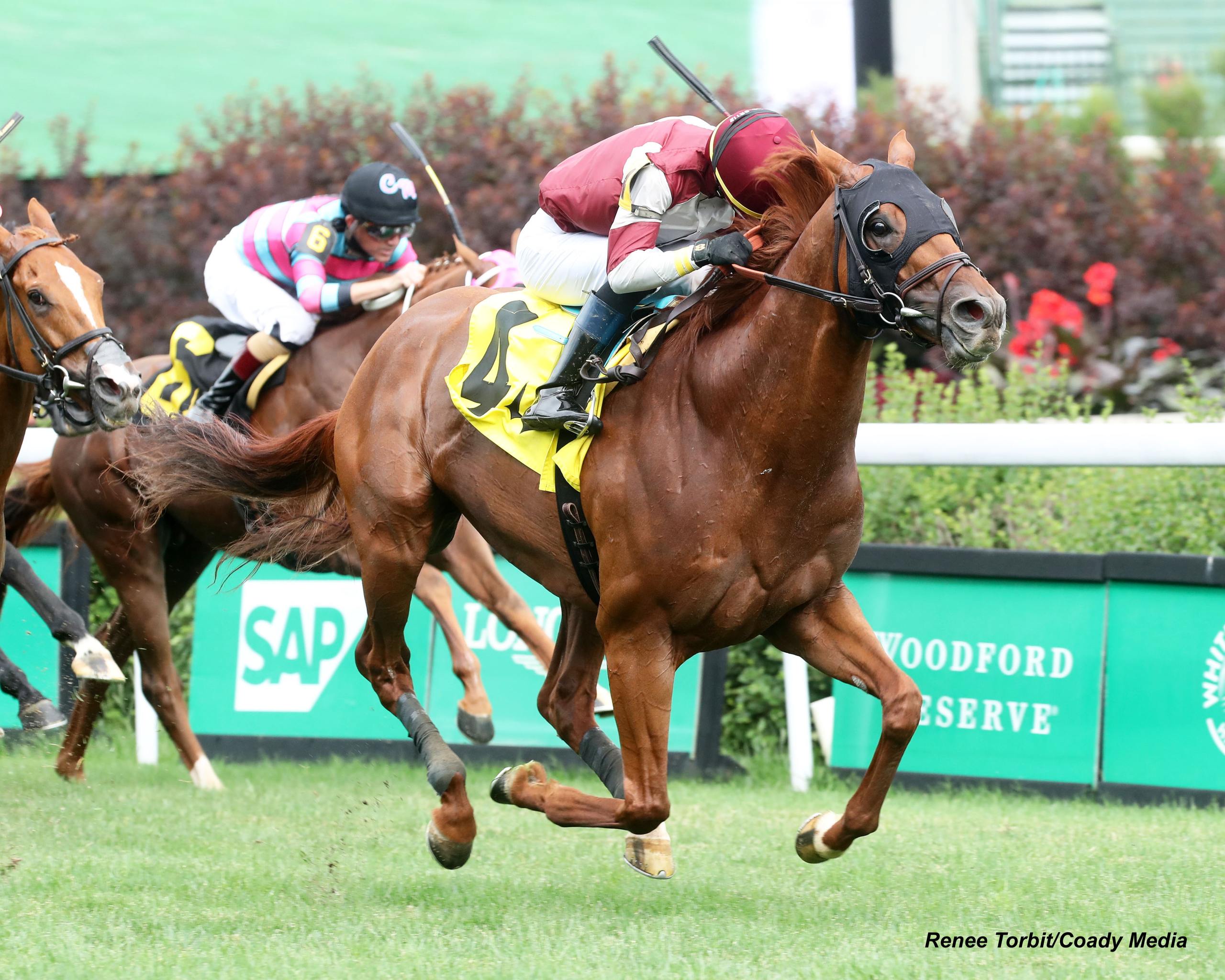 Rebel Red: Overcoming the Turf Odds - Past The Wire