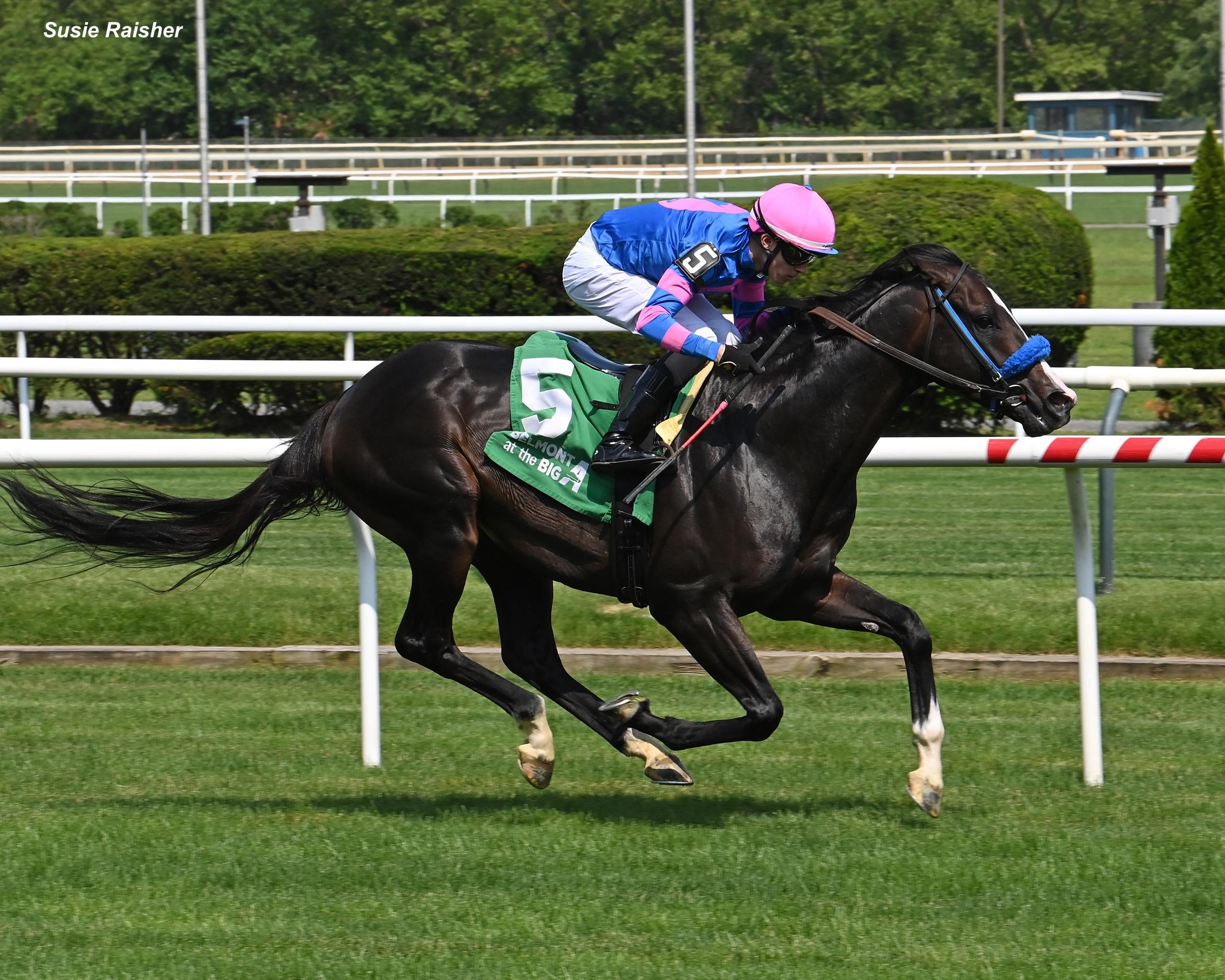 Friend Ofthe Devil on Cruise Control in Spectacular Bid - Past The Wire