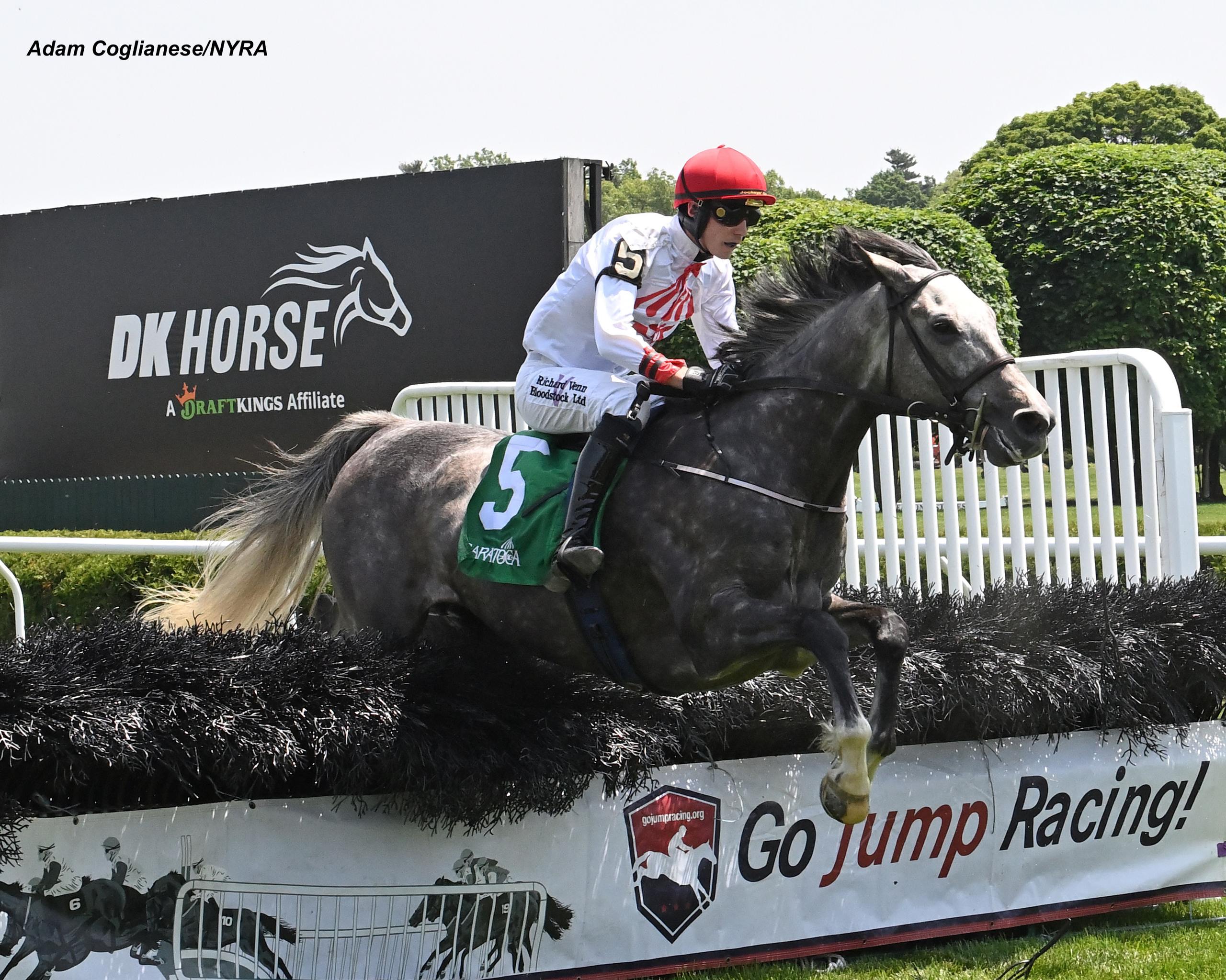 Proven Innocent Flies in Beverly R. Steinman - Past The Wire