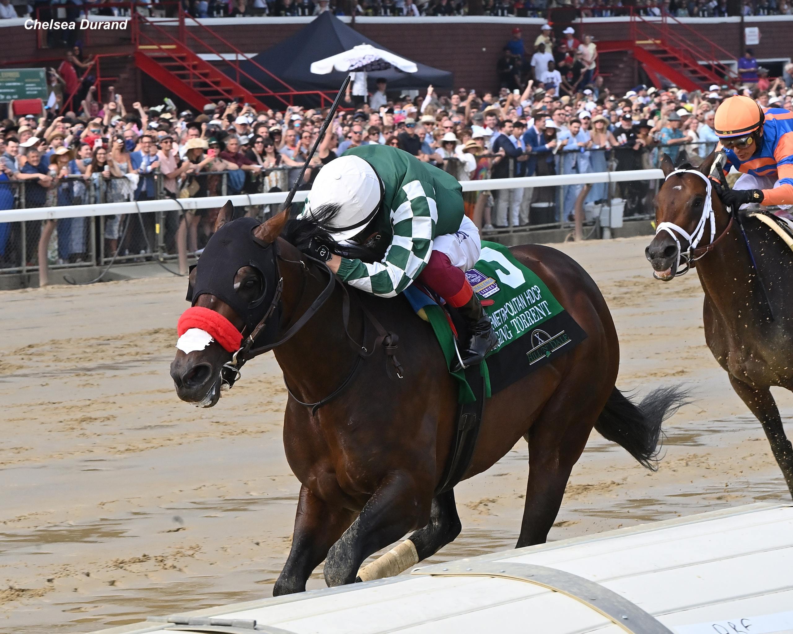 Great Friends Stable Receives Partnership Award - Past The Wire