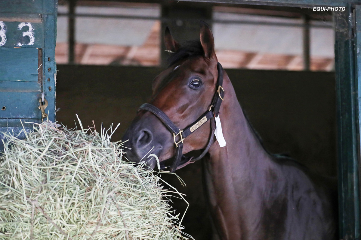 Burnham Square Revives the Whithams Haskell Dreams - Past The Wire