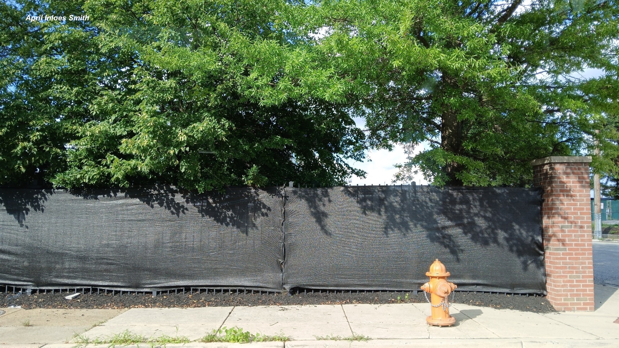 What’s Up, Pimlico Race Course? - Past The Wire