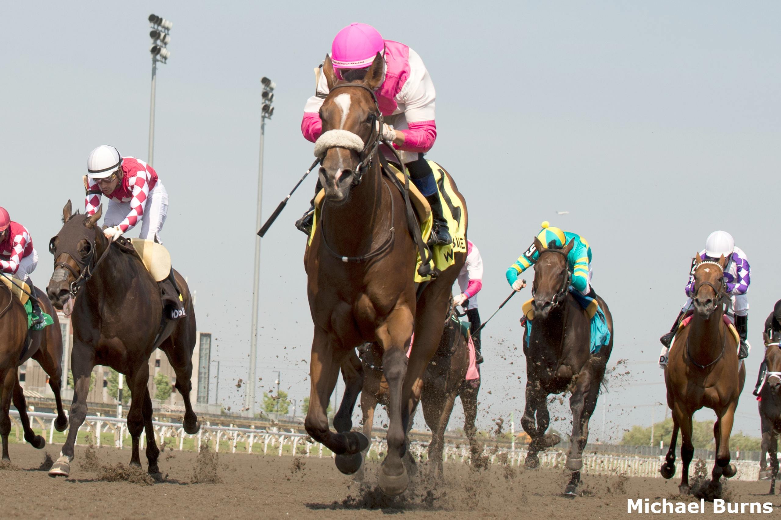 Border Czar Sails Home in My Dear - Past The Wire