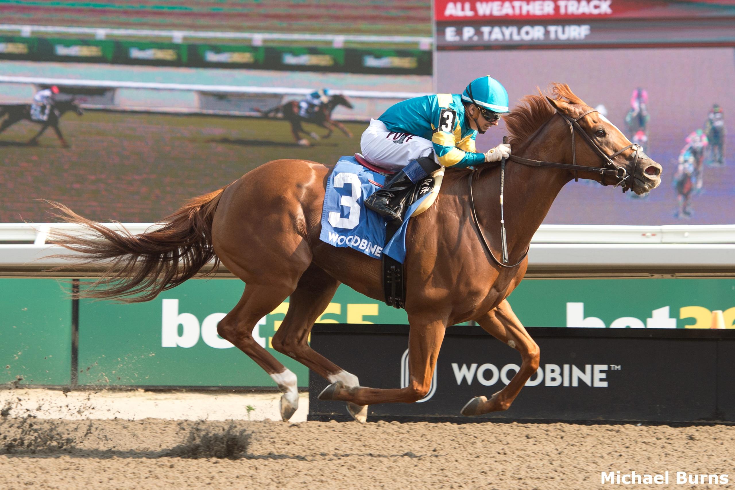 Creed’s Gold Scores First Stakes Success in G3 Hendrie - Past The Wire