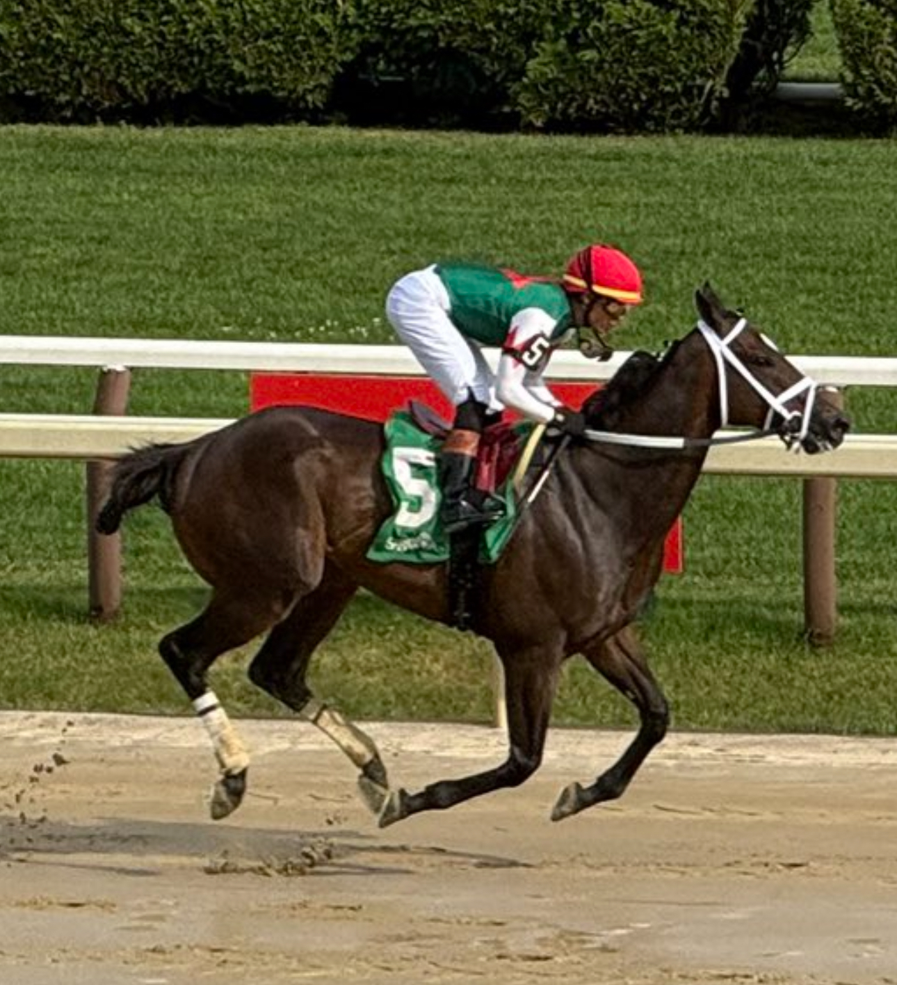 Eddie C’s Saratoga Notebook Picks Week 2 - Past The Wire