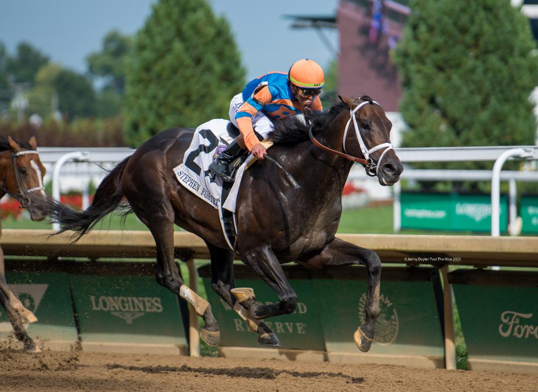 Md.-bred Mindframe Ranks As Top Horse In Nation - Past The Wire