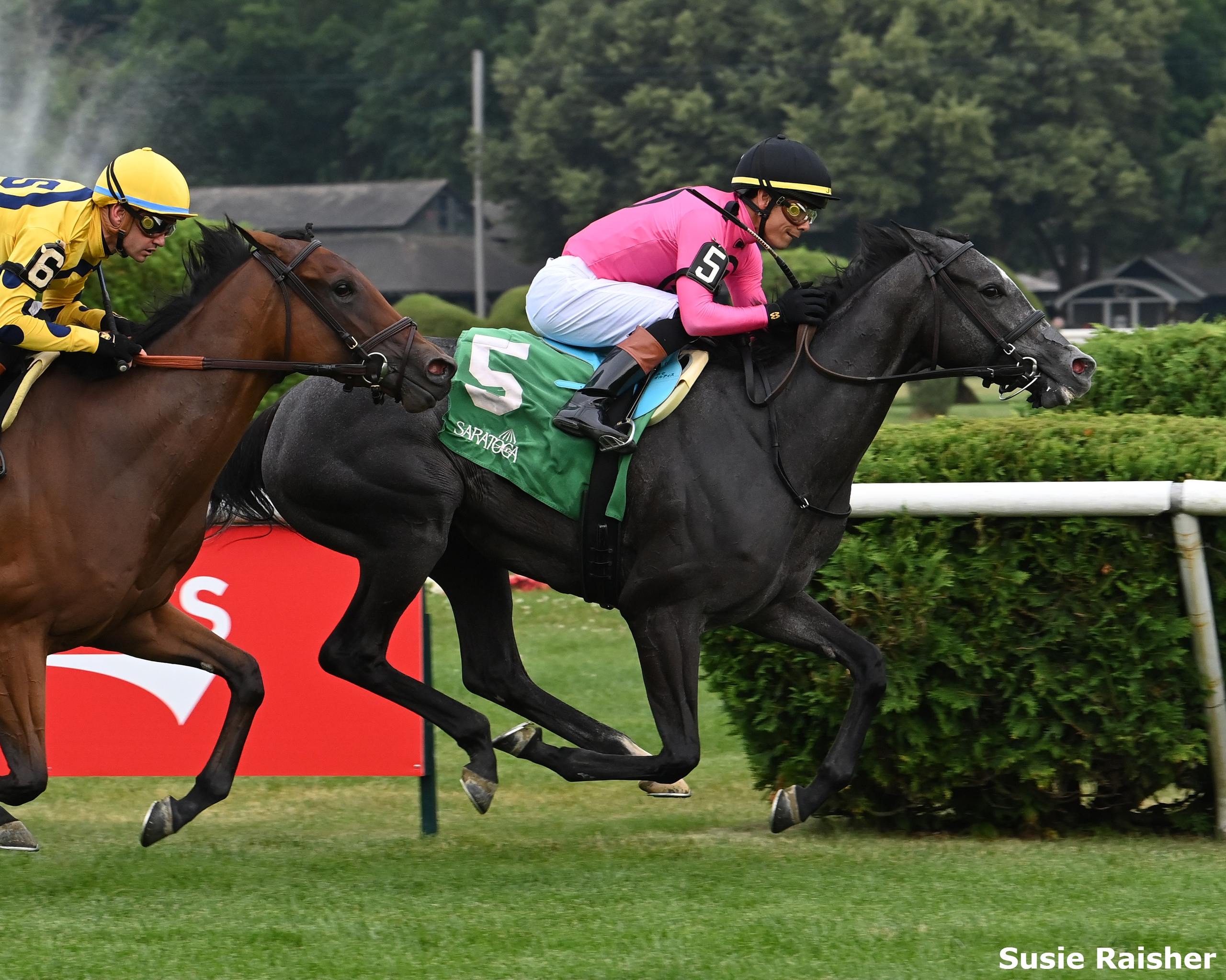 Classic Q Goes Gate-To-Wire in Wild Applause - Past The Wire