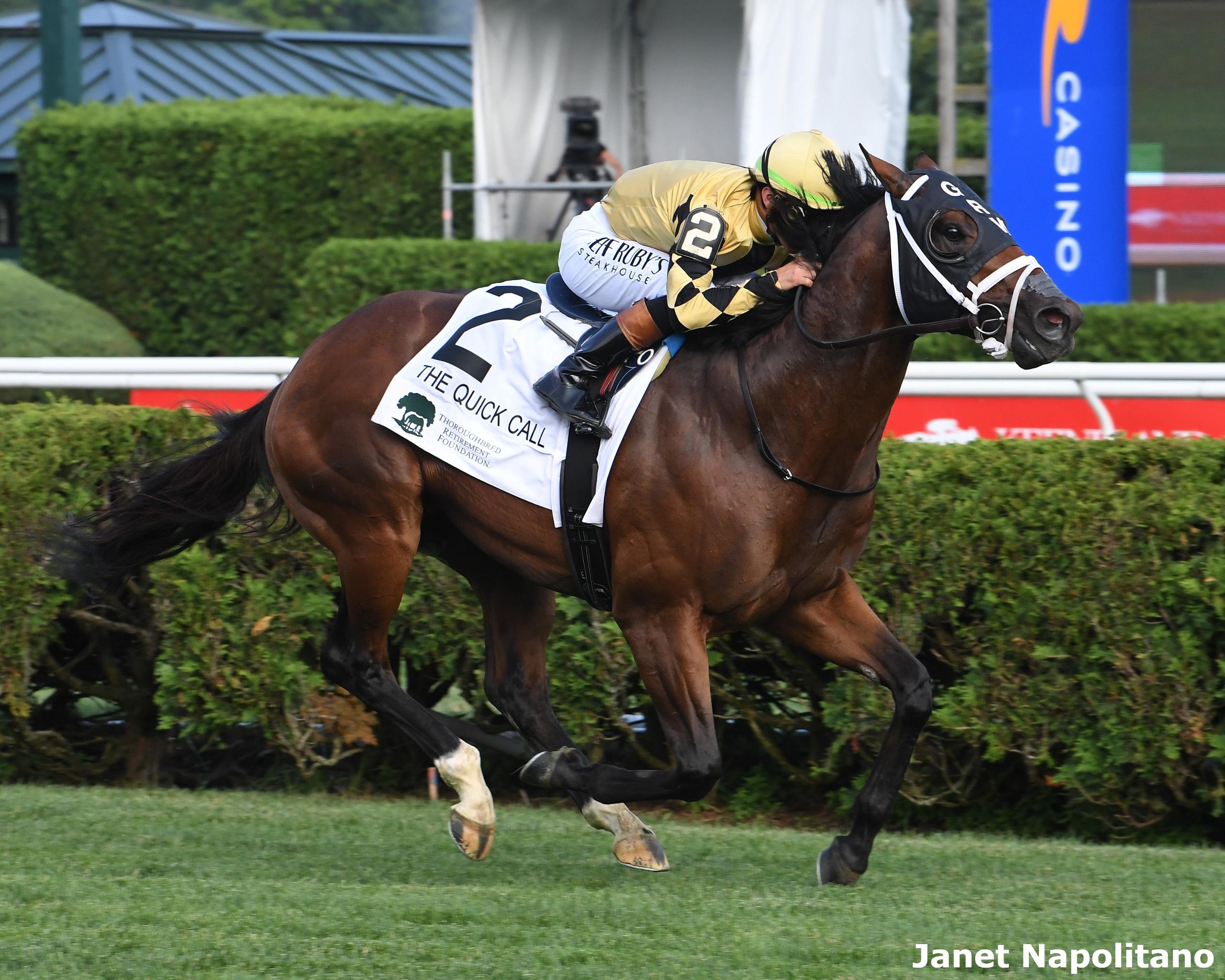 Governor Sam in Top Form Heading Into G3 Mahony - Past The Wire