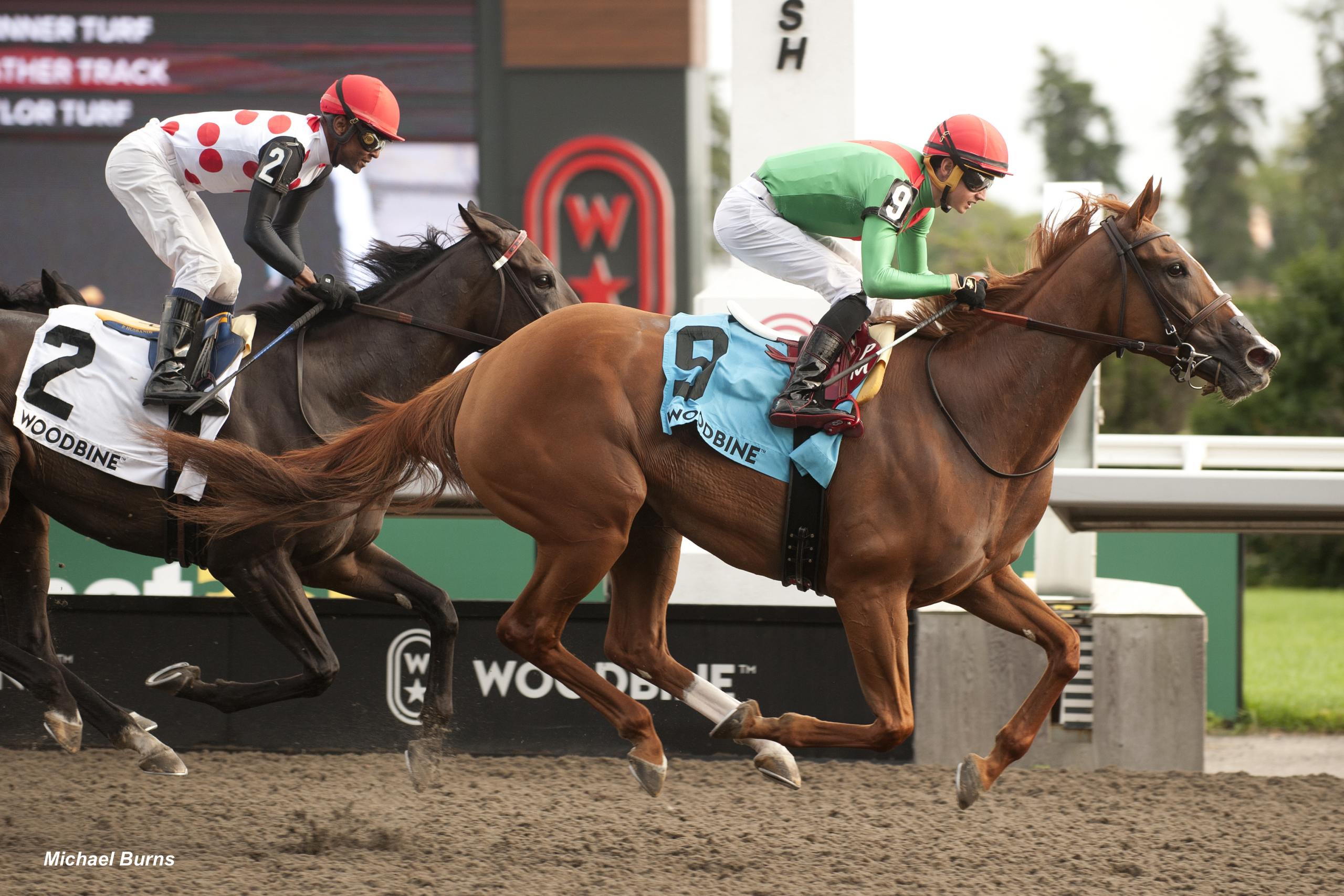 Elysian Field Shows Winning Form in G3 Seaway - Past The Wire