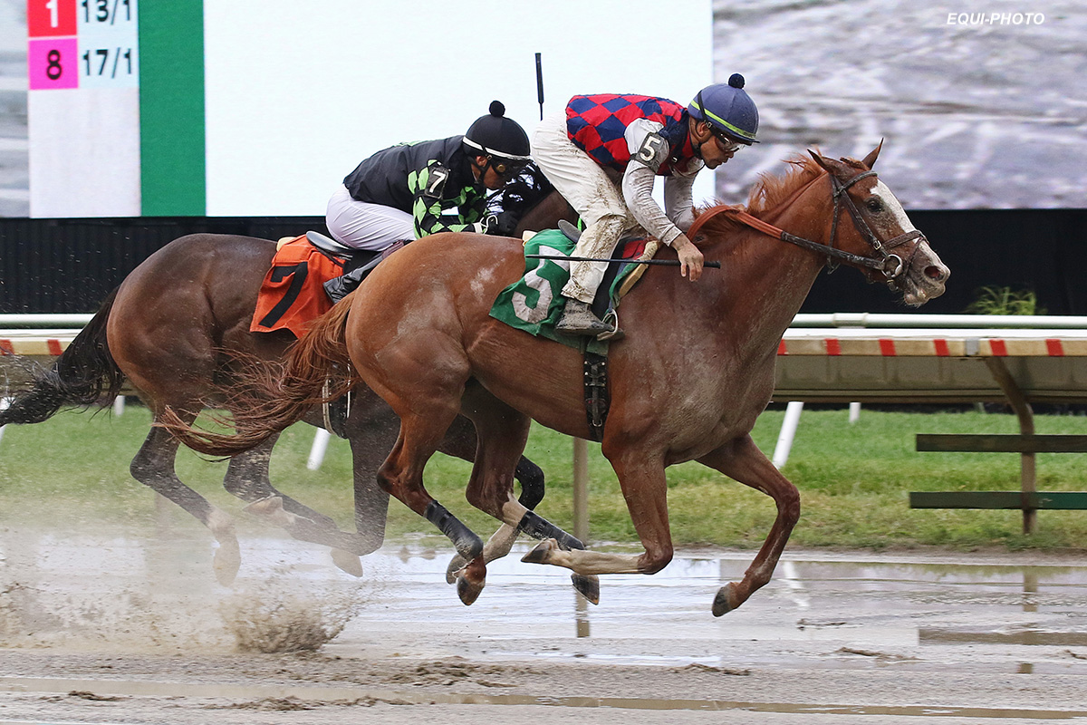 Pretty Picture Snaps Win in Feature - Past The Wire