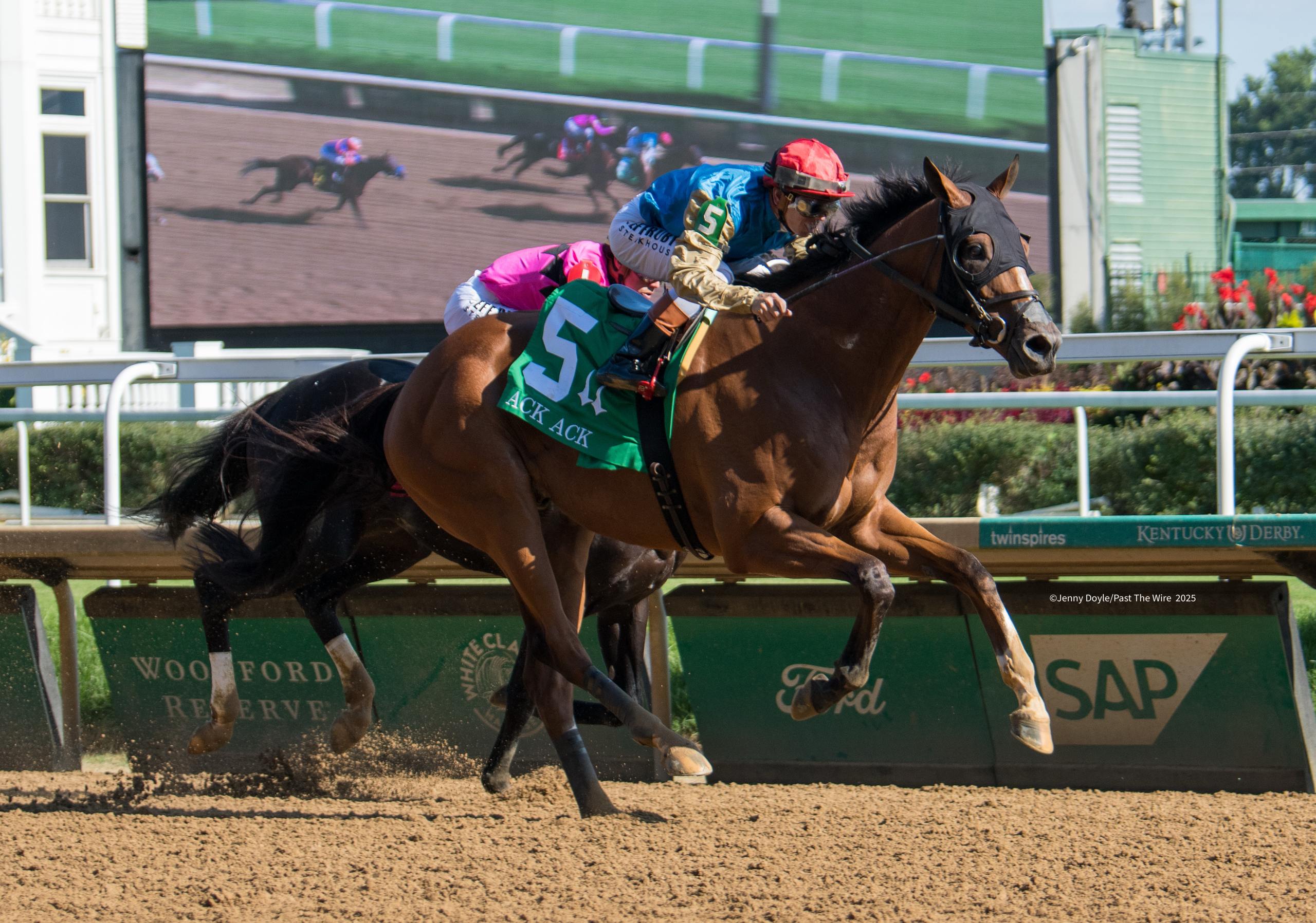 your second set of eyes in horse racing - Past The Wire