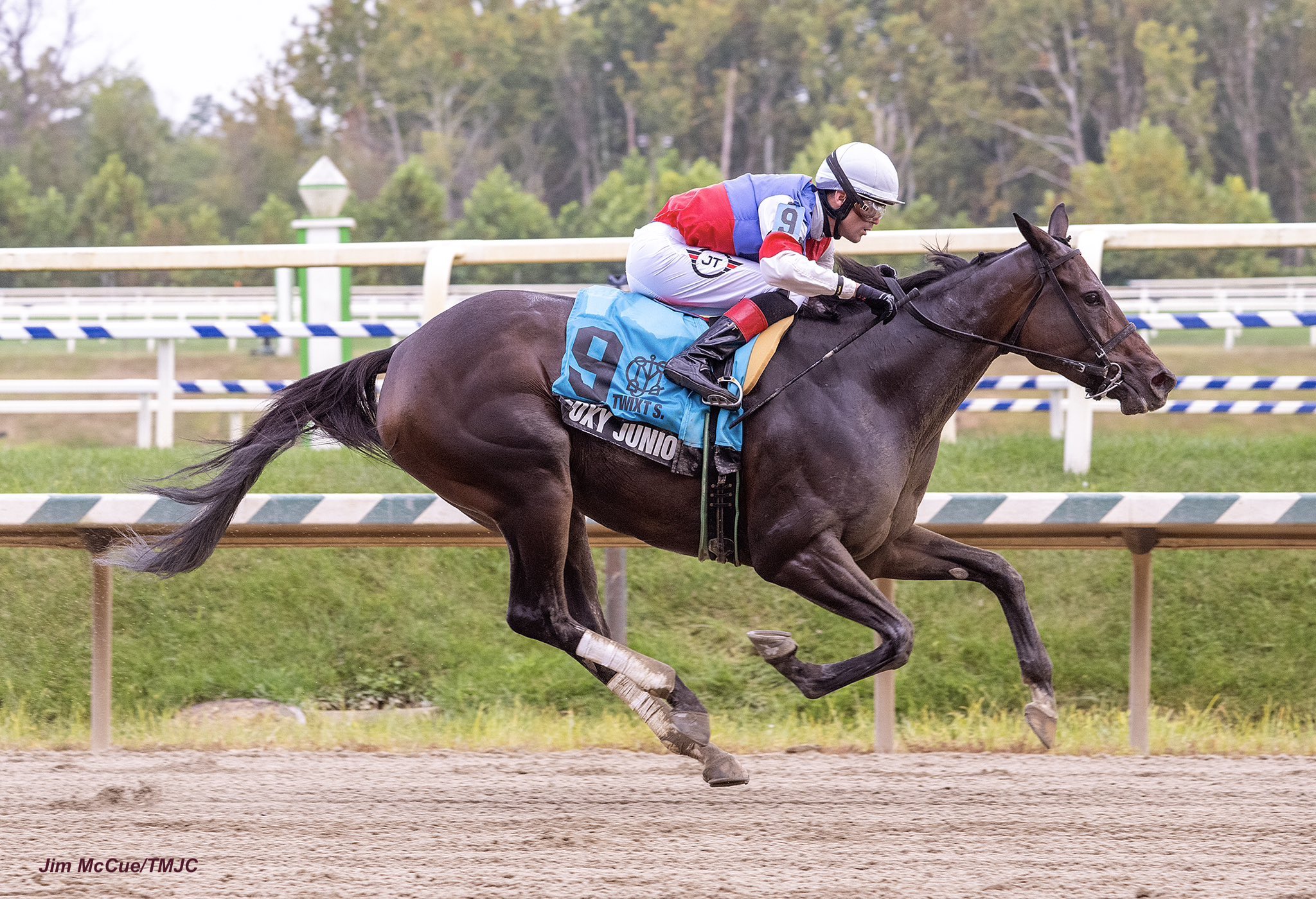 Foxy Junior Perfectly Dominates in Twixt - Past The Wire