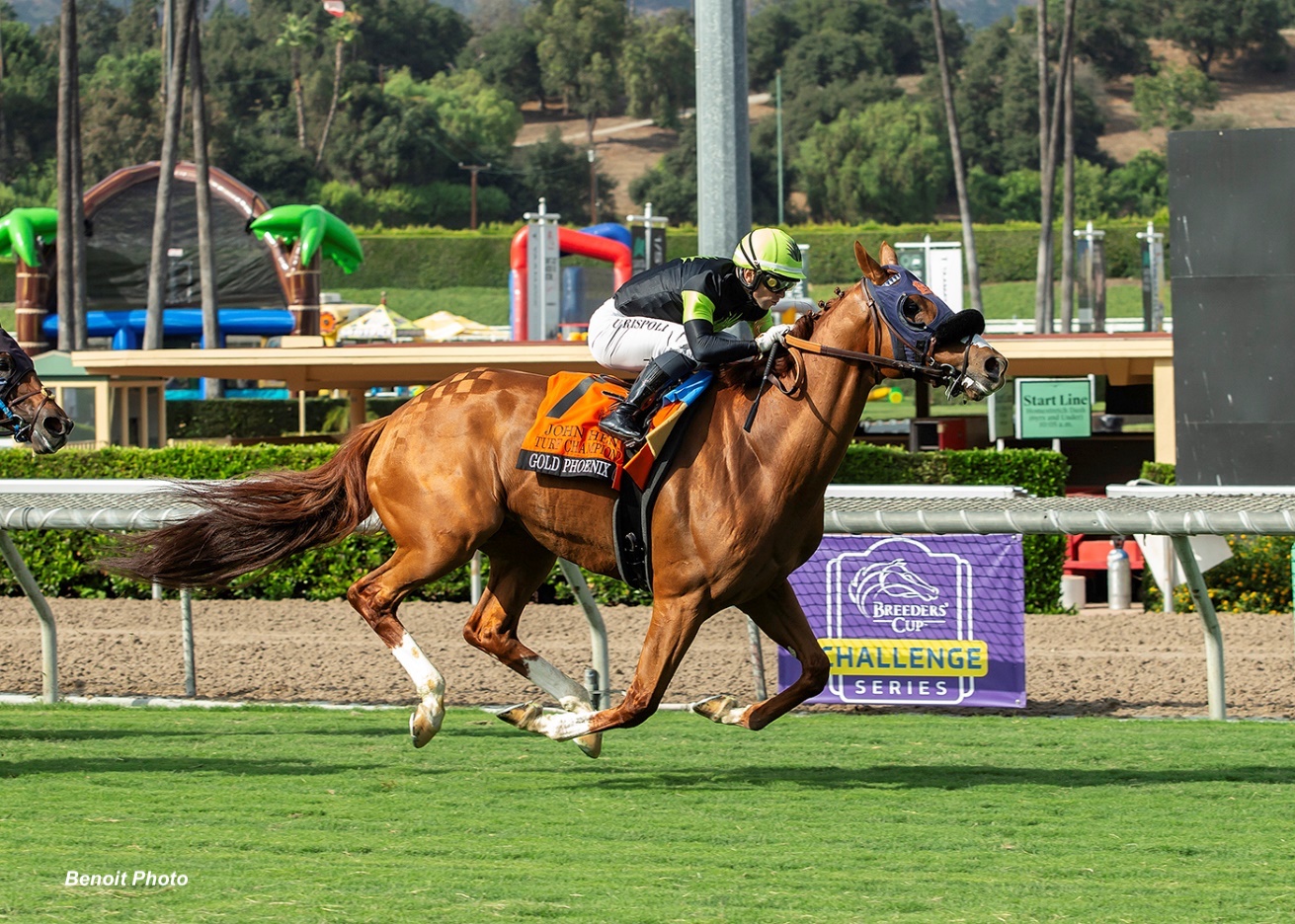 Gold Phoenix Shines in G2 John Henry Turf - Past The Wire