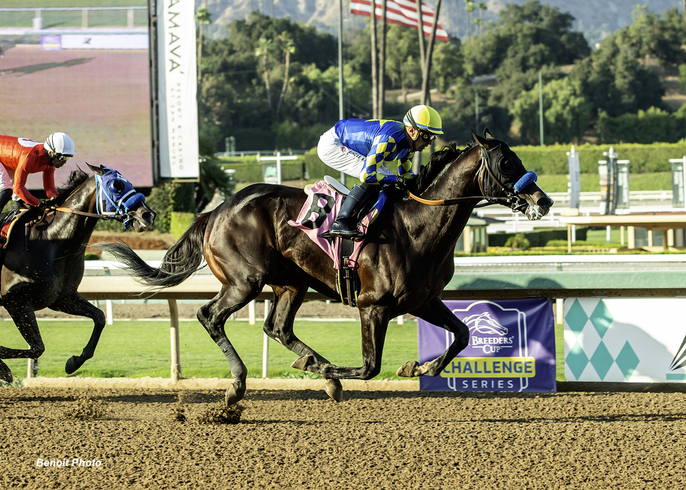 Imagination Shocks Crowd in G2 SA Sprint - Past The Wire