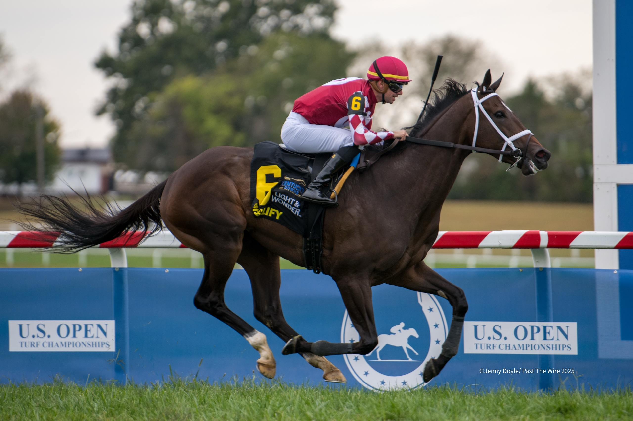 Stellify Has Déjà vu in Ladies Marathon - Past The Wire