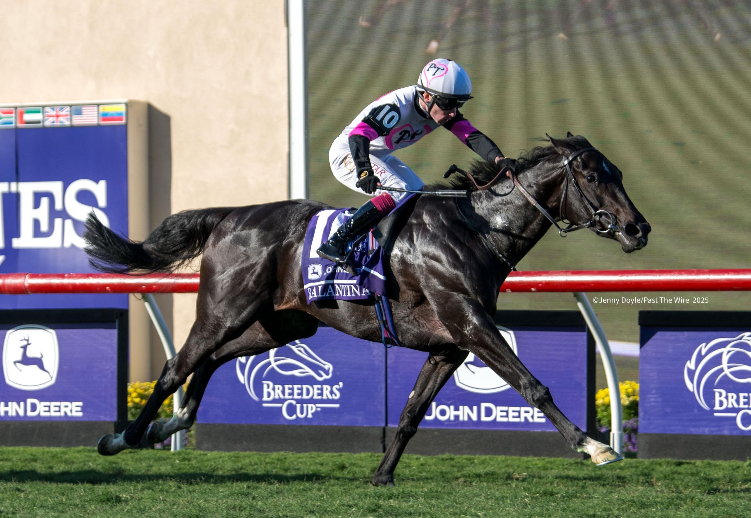 CAW Impact on the 2025 Breeders’ Cup - Past The Wire