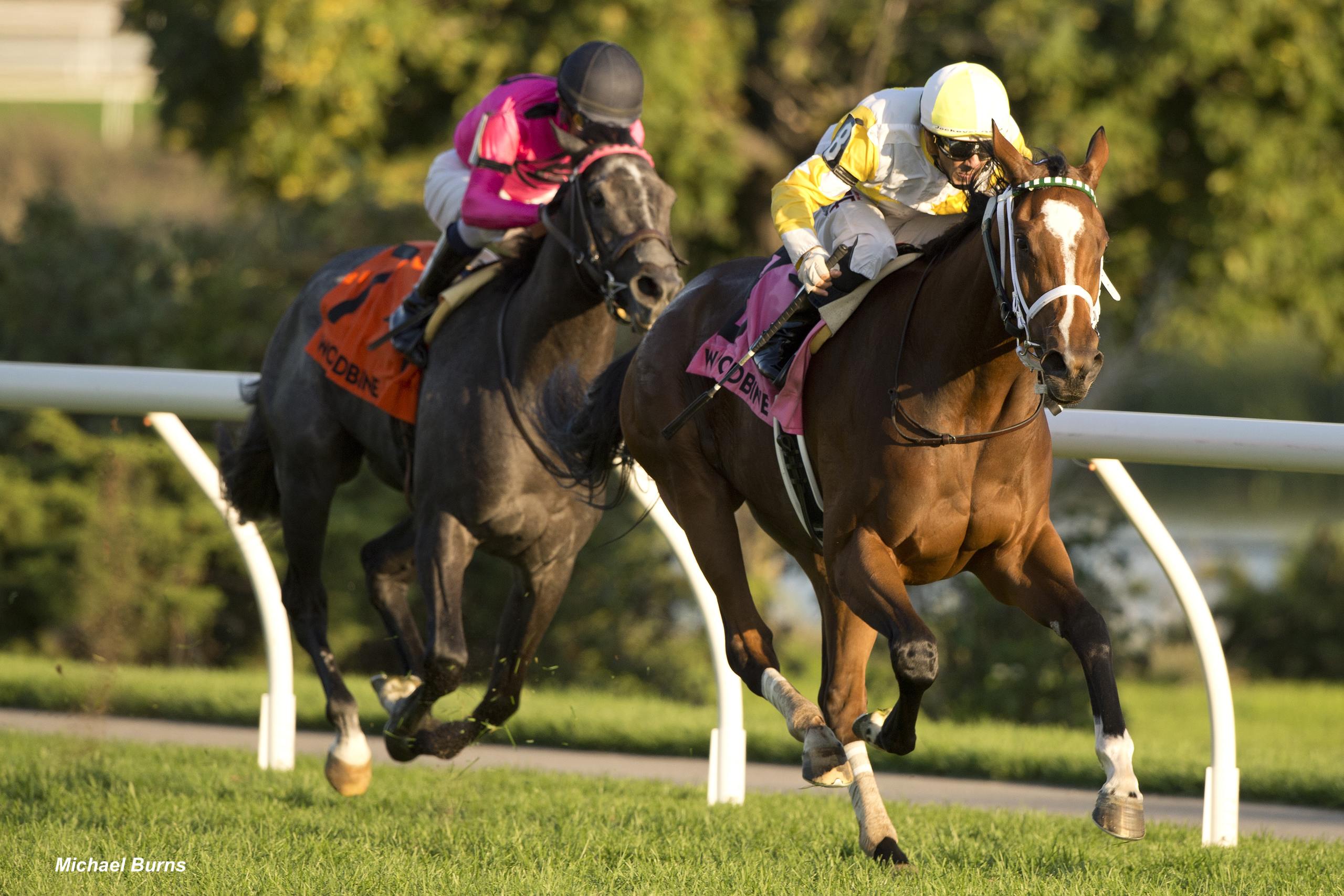 Dixie Law Delivers in Cup & Saucer - Past The Wire
