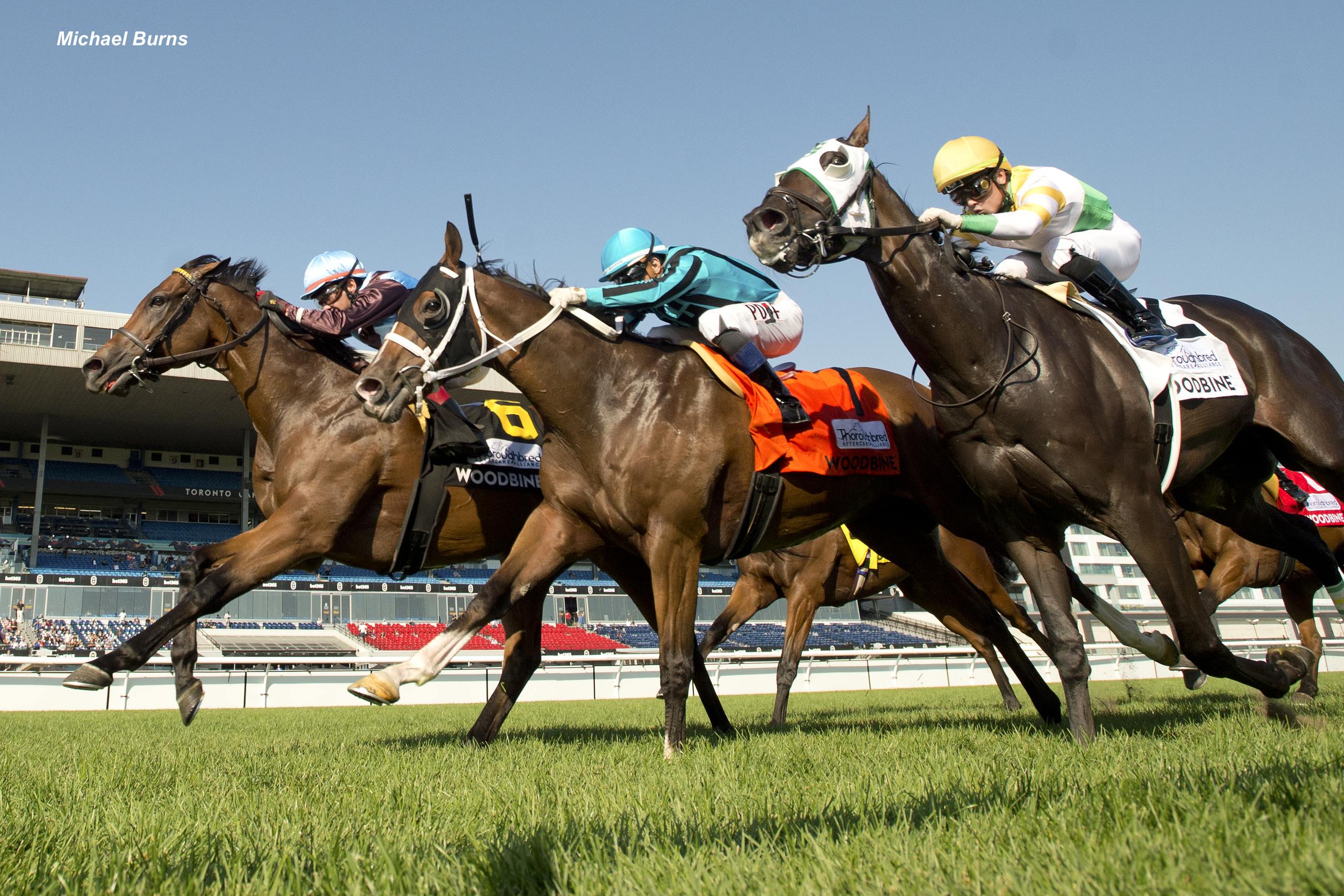 No Nay Hudson Battles for G2 Nearctic - Past The Wire