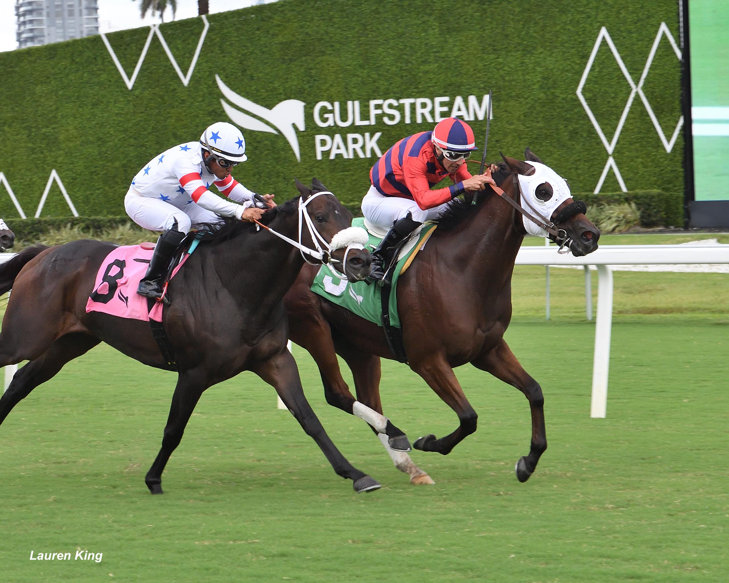 Private Thoughts Flies in Jet Propulsion - Past The Wire