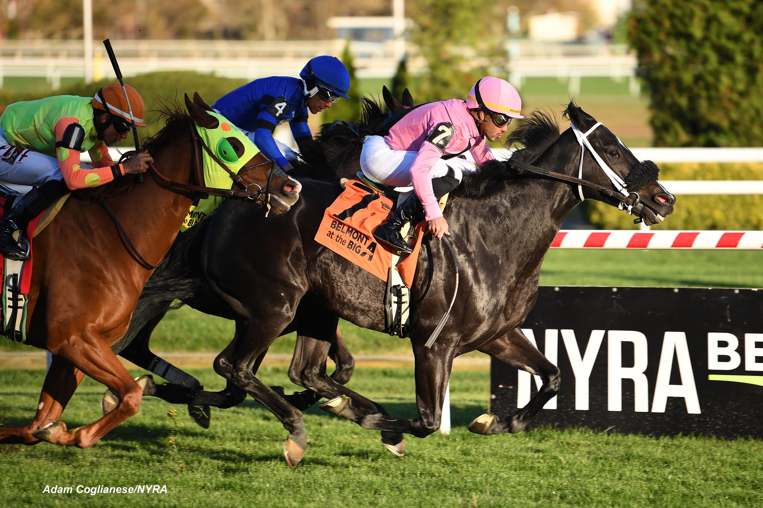 Dancing Buck Finds Groove in Aqueduct Turf Sprint - Past The Wire