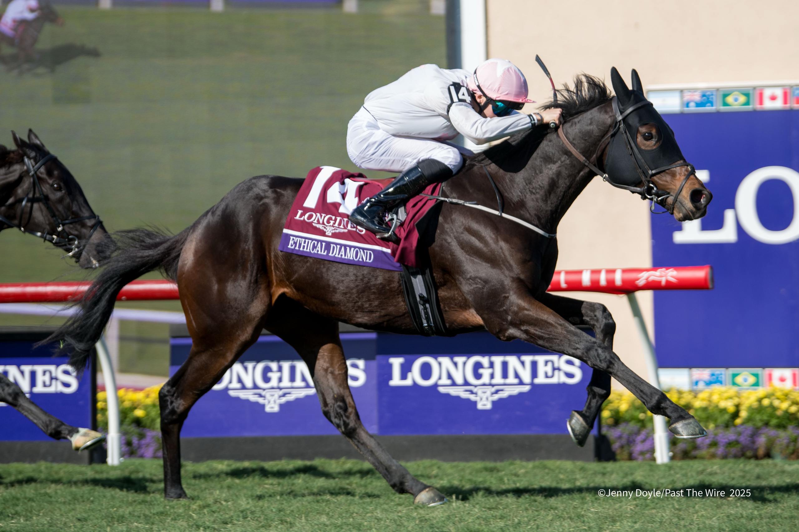 Ethical Diamond Upsets in BC Turf - Past The Wire