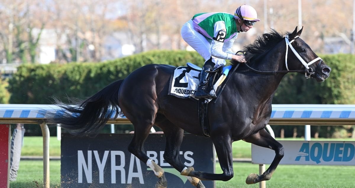 Disco Time remains unbeaten in Dwyer - Past The Wire