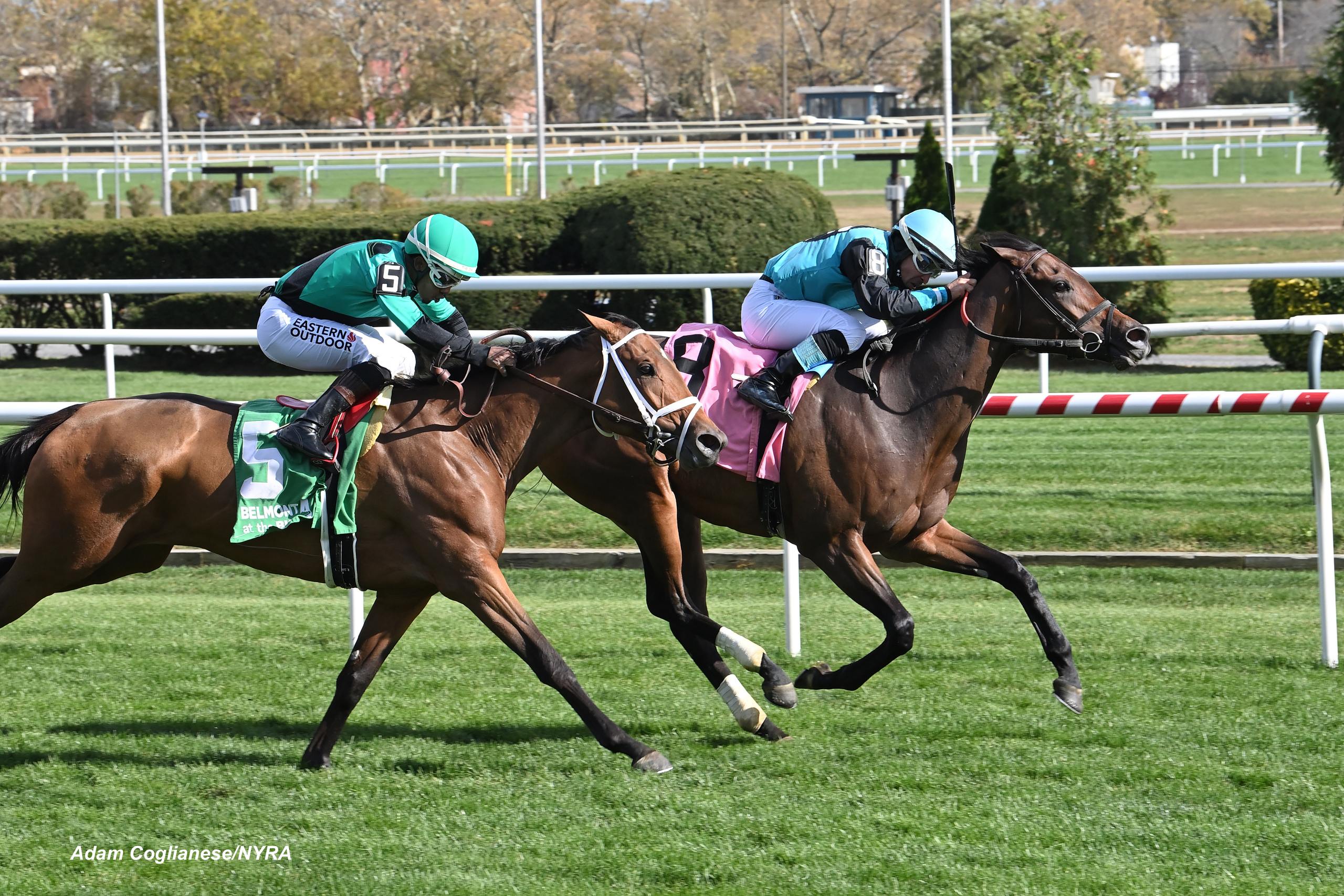 Mandatory Payout Double Pick 6 Carryover of $86K - Past The Wire