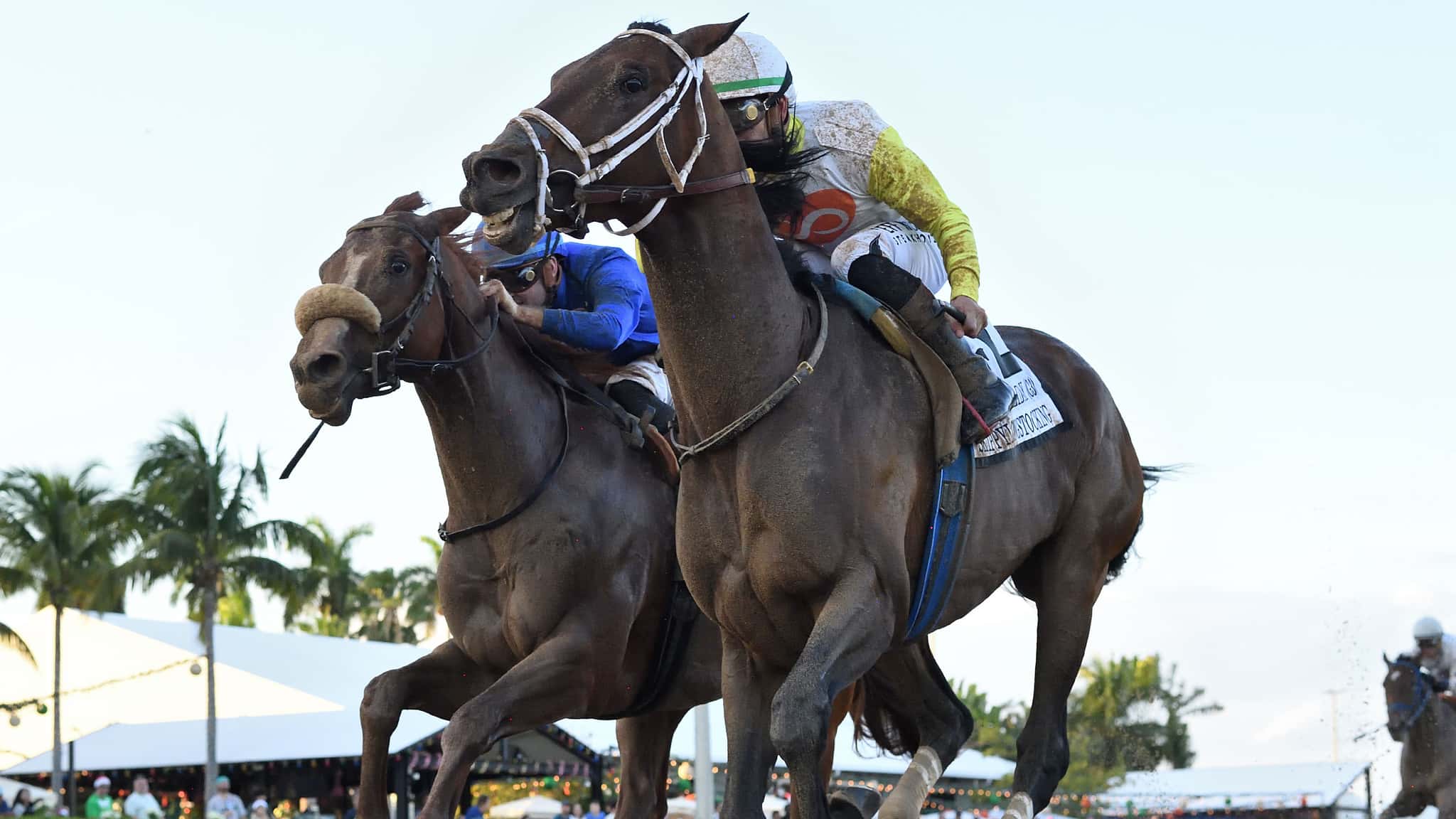 How Pace Points Decoded the Harlan’s Holiday - Past The Wire