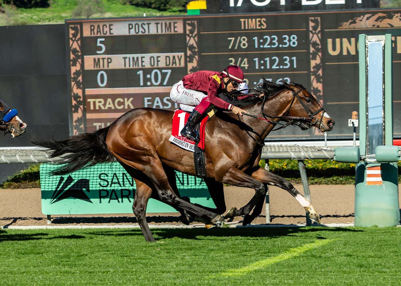 Hiding In Honduras Nails Tempus Volat in Mathis Mile - Past The Wire