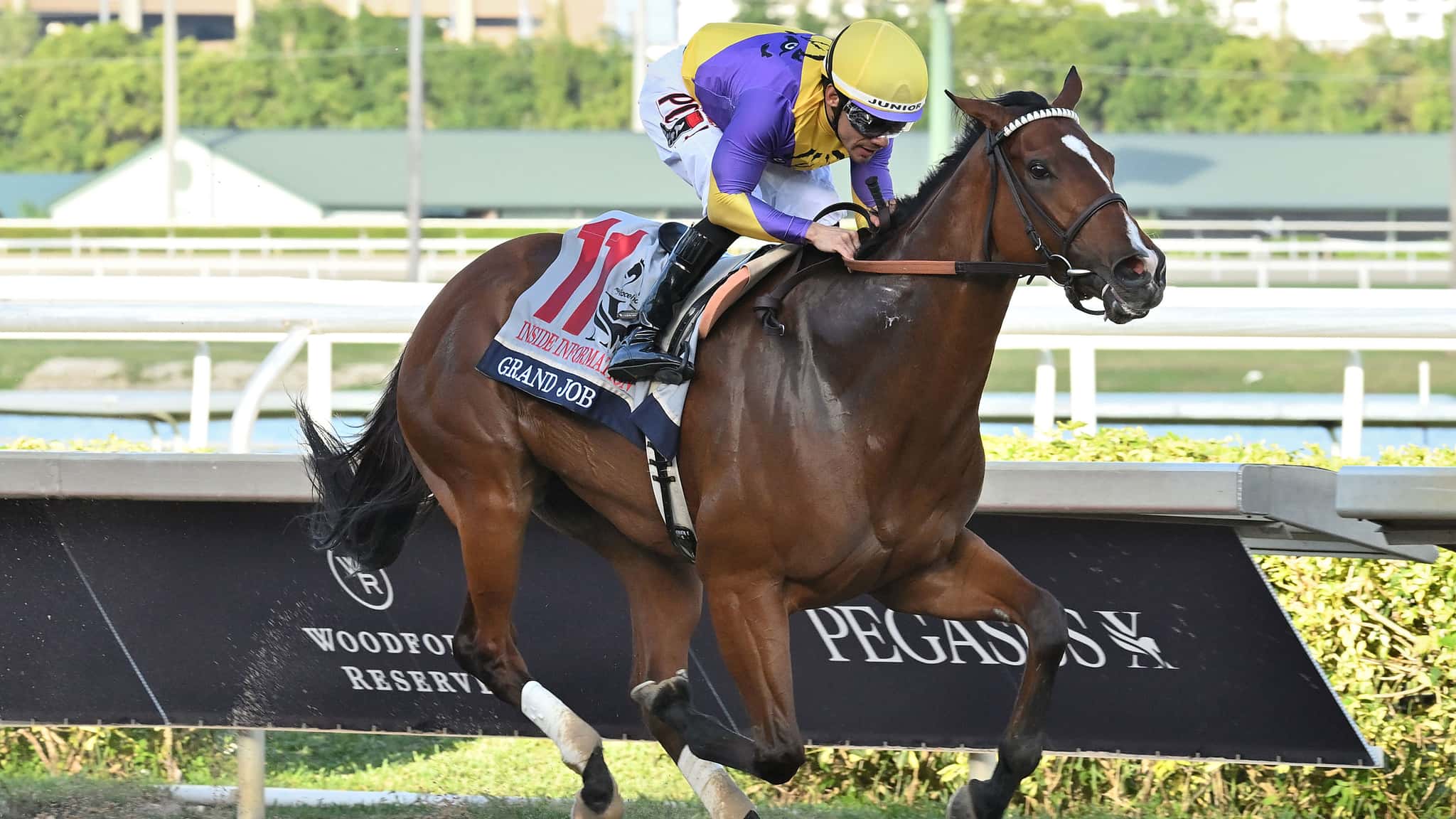 GRAND JOB SCORES IN INSIDE INFORMATION (G2) - Past The Wire