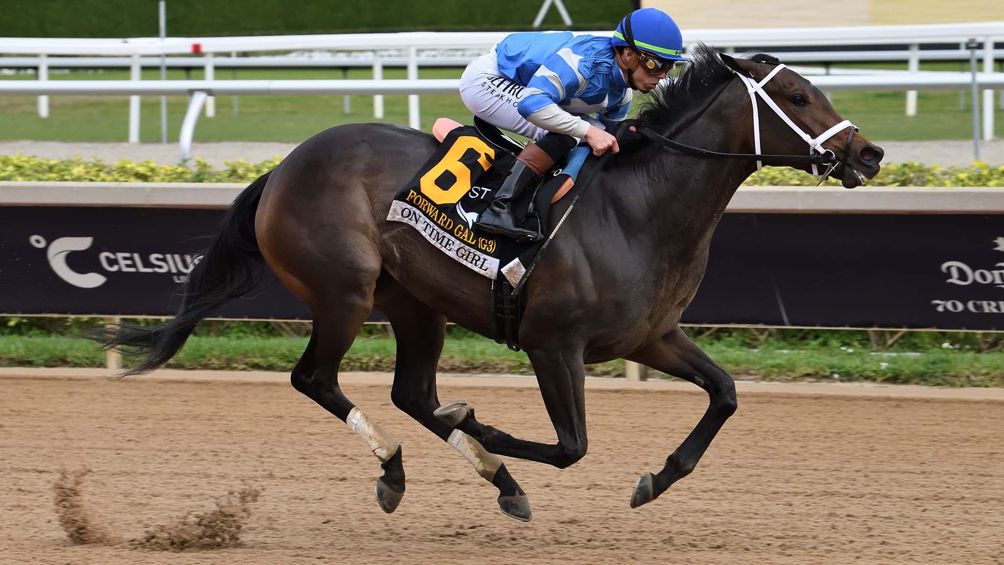 ON TIME GIRL SHINES IN $175K FORWARD GAL (G3) - Past The Wire