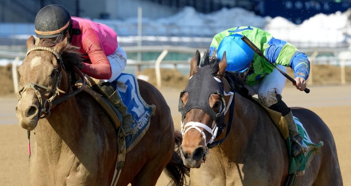Bold Journey up in time in G3 Tom Fool - Past The Wire