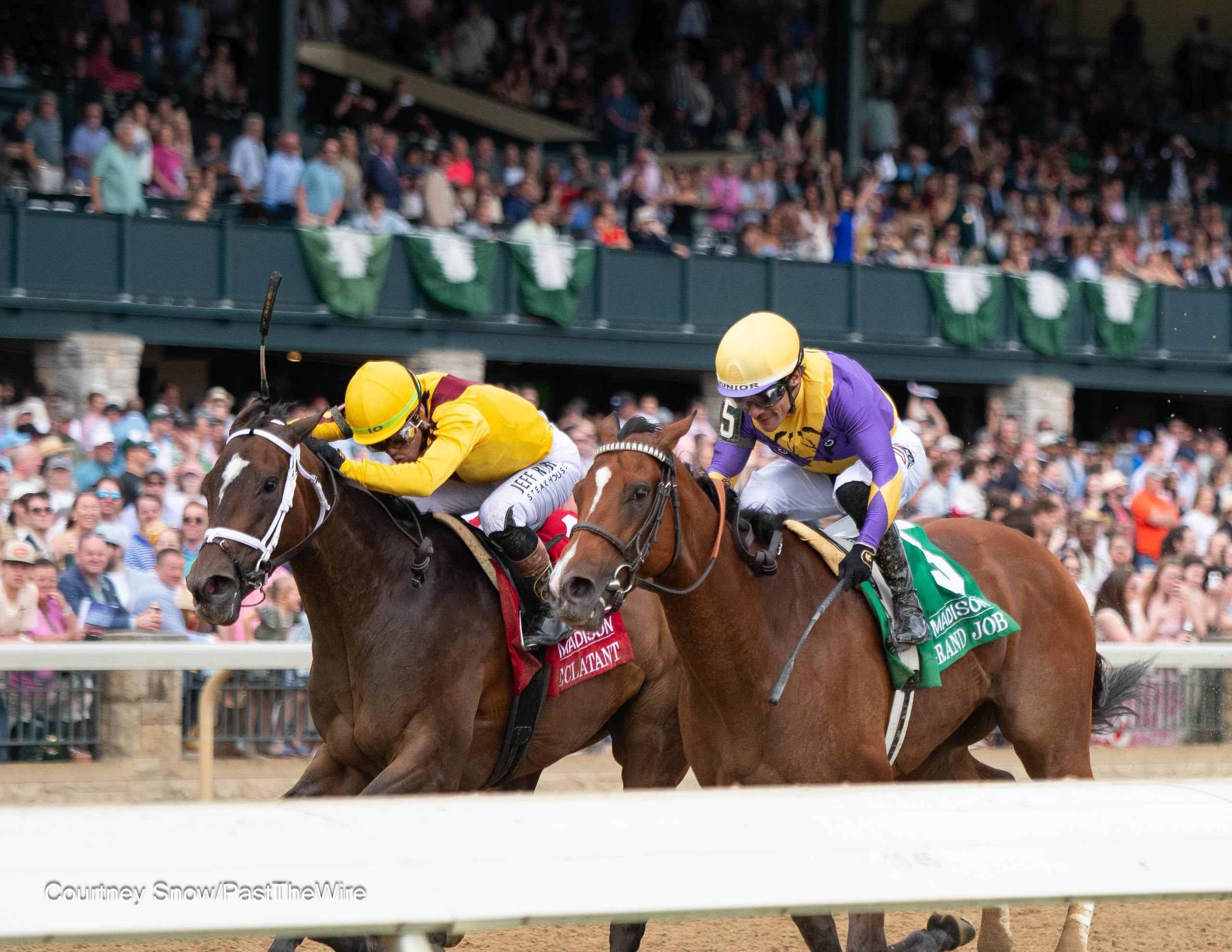 Connection: Breeds and Racing Success - Past The Wire