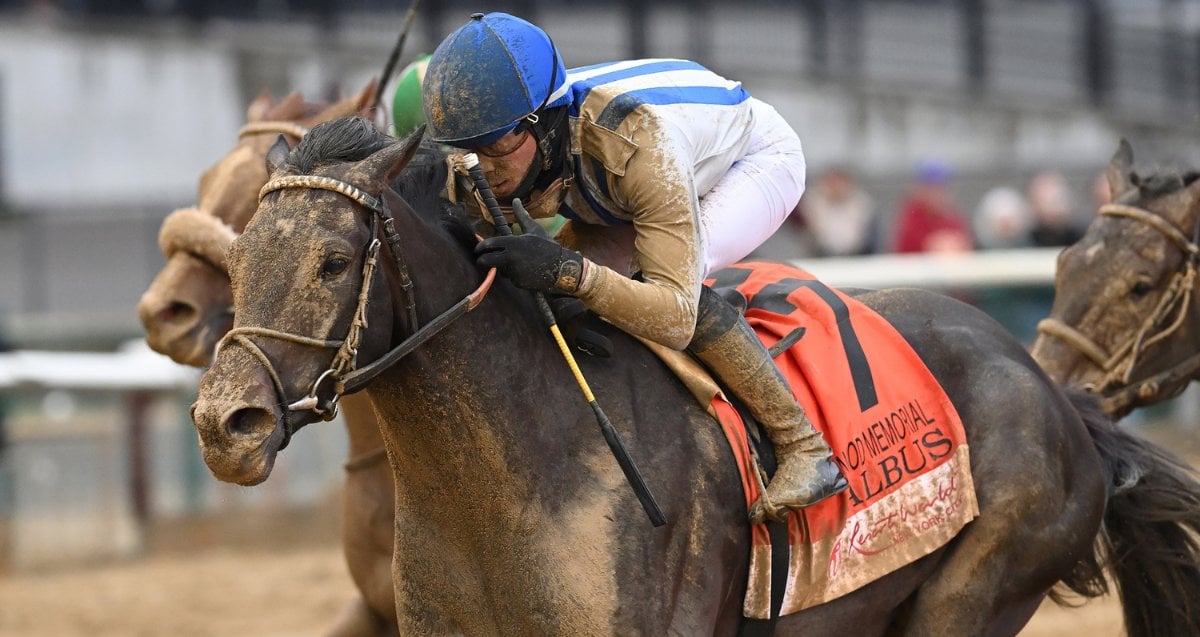 Albus Wins Final G2 Wood at the Big A - Past The Wire